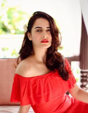 Watch Detective Sherdil Streaming Online on Moviebox