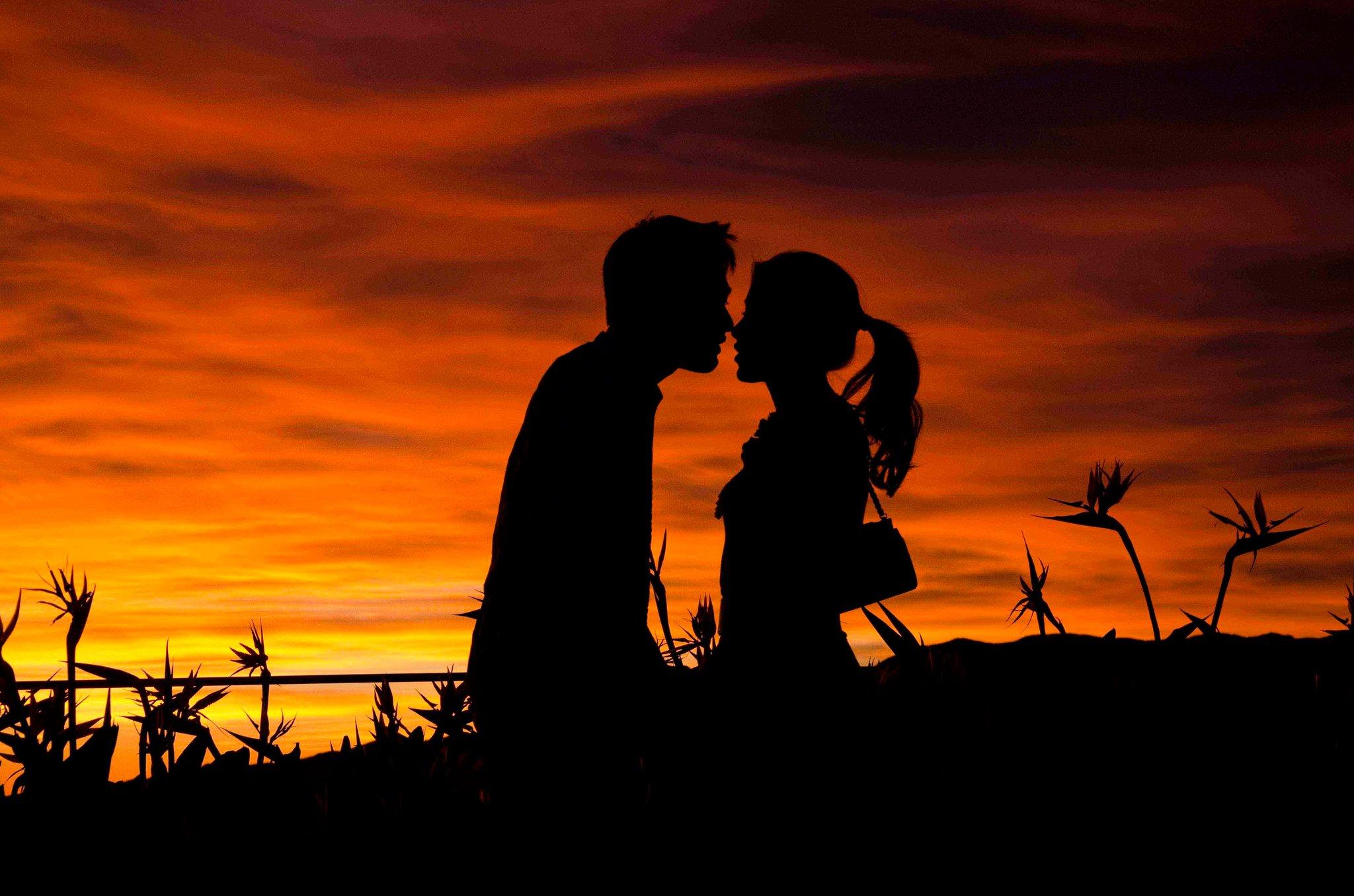 Regardez Women Don't Fall from the Sky en streaming en ligne sur Moviebox