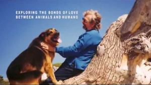 Watch Curse of the Blair Witch Streaming Online on Moviebox